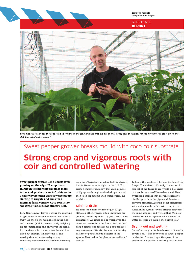 Greenhouse document | PDF | Vegetables | Greenhouse