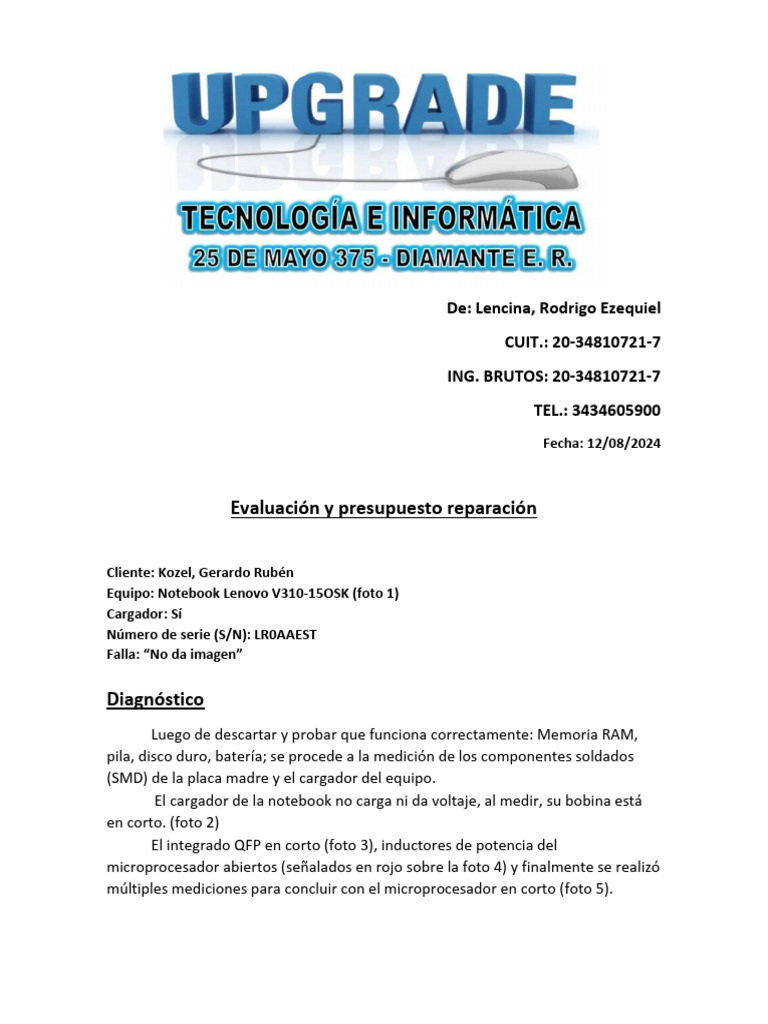 Informe Lenovo-Kozel (12-08-24) | PDF