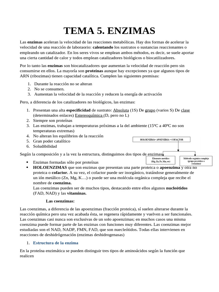 TEMA 5 ENZIMAS | PDF | Enzima | Inhibidor de la enzima