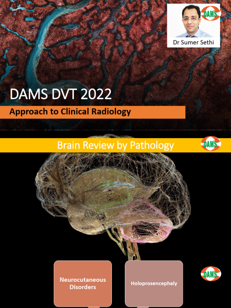 25 Jan - Radiology (DR Sumer) DAMS DVT 2022 | PDF | Diseases And ...