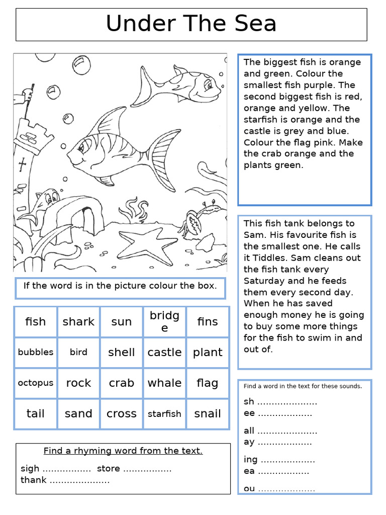 under the sea | PDF | Fish | Sharks
