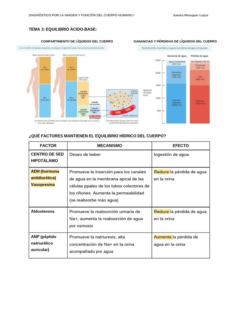 Tema 3 - Equilibrio Ácido-Base | PDF | Solución tampón | Fisiología