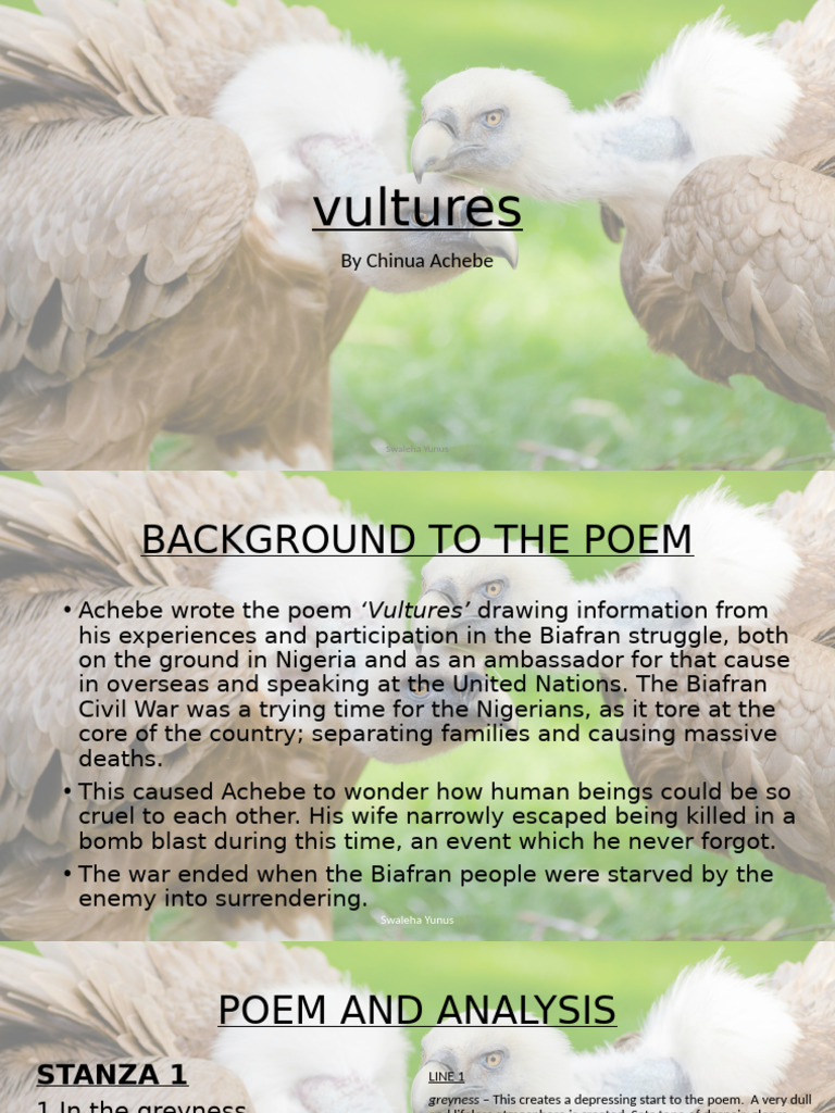Analysis of Achebe's Poem "Vultures" | PDF | Poetry