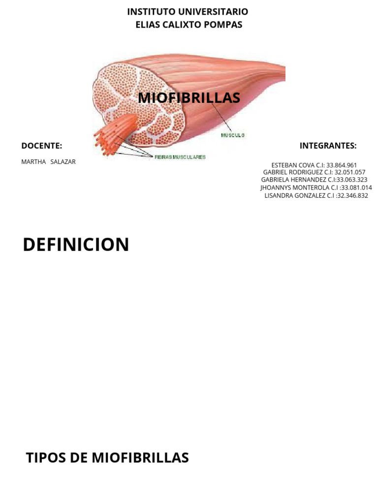 Instituto Universitario Elias Calixto Pompas | PDF