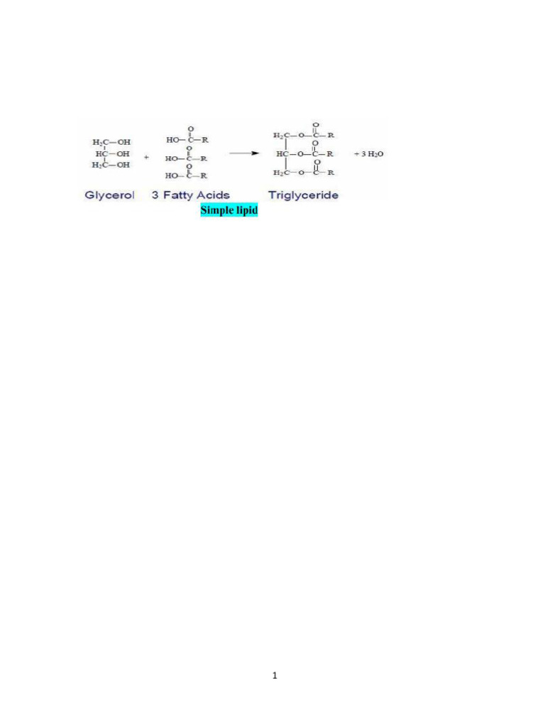 Understanding Lipids: Types and Tests | PDF | Lipid | Staining