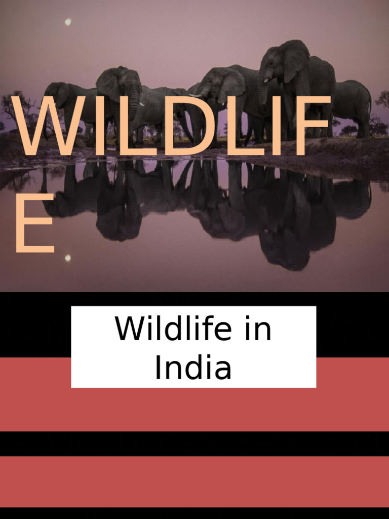 Wildlife Ppt | PDF | Himalayas | Hunting