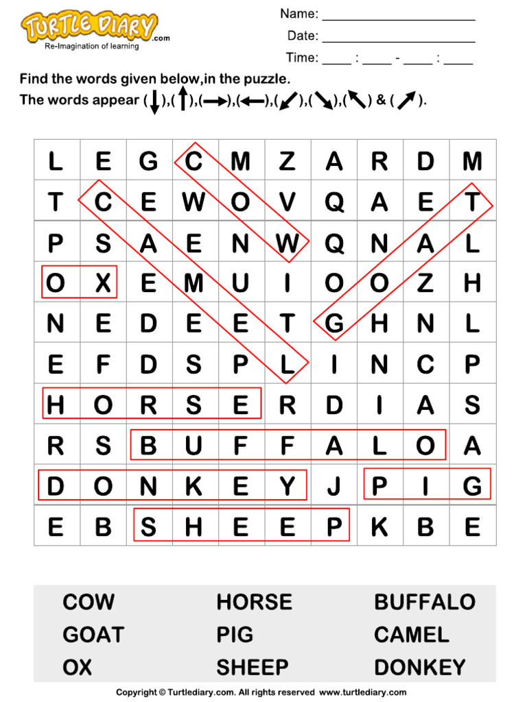 Answer Animal Word Search | PDF