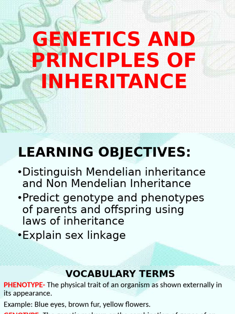 Genetics and Principles of Inheritance | PDF | Dominance (Genetics) | Allele