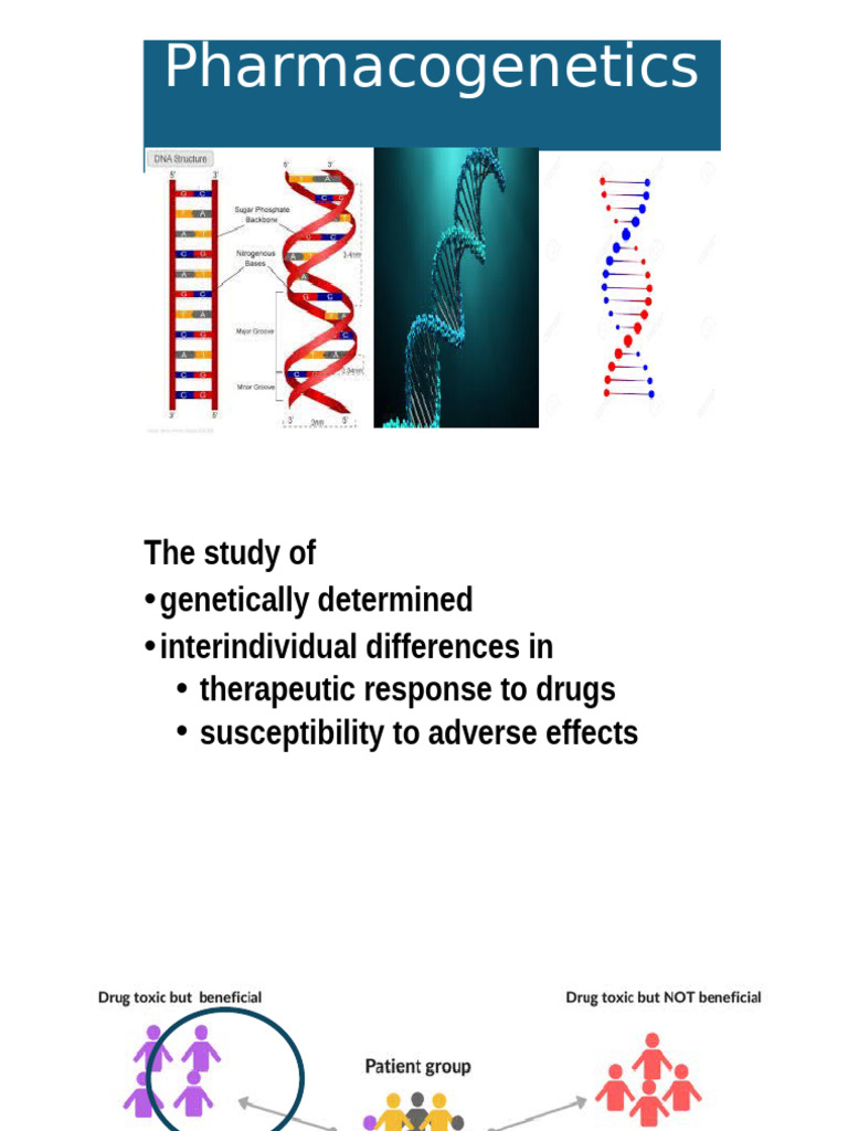 Pharmaco Genetics | PDF