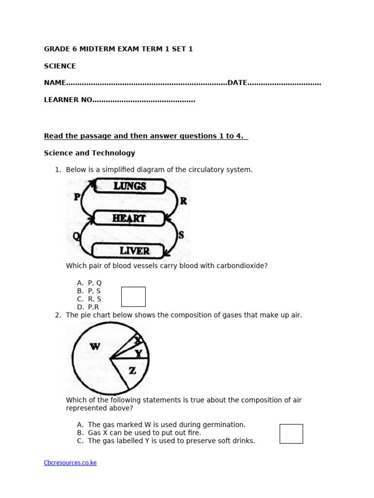 G6 Science and Technology QS Midterm 1 Set 1 Exam | PDF | Lamb And Mutton