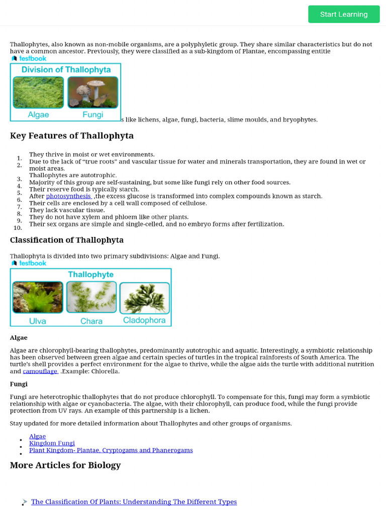 Thallophyta - Characteristics, Division, and Examples | PDF