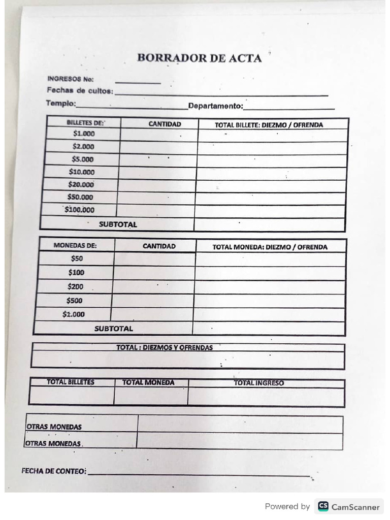 Formato Borrador de Acta | PDF