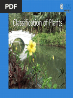 Grade 6 - Classification of Plants | PDF