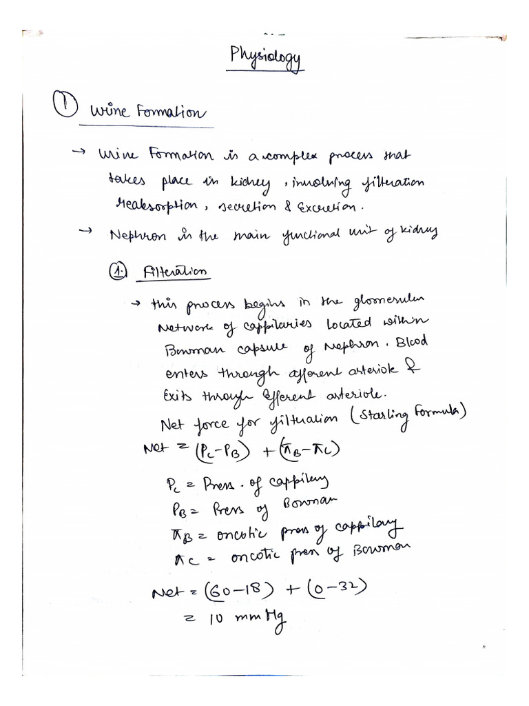 Assignment Physiology Lib | PDF