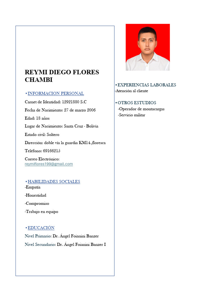 curriculum_vitae_flores[1]1 | PDF