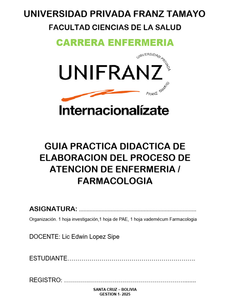 formato de elaboracion guia PAE HOJA 1 | PDF