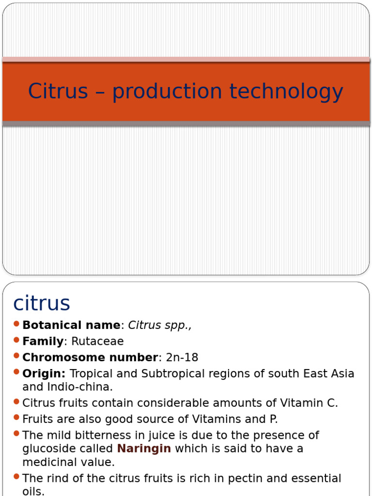 Citrus Production Technology Overview | PDF | Citrus | Orange (Fruit)