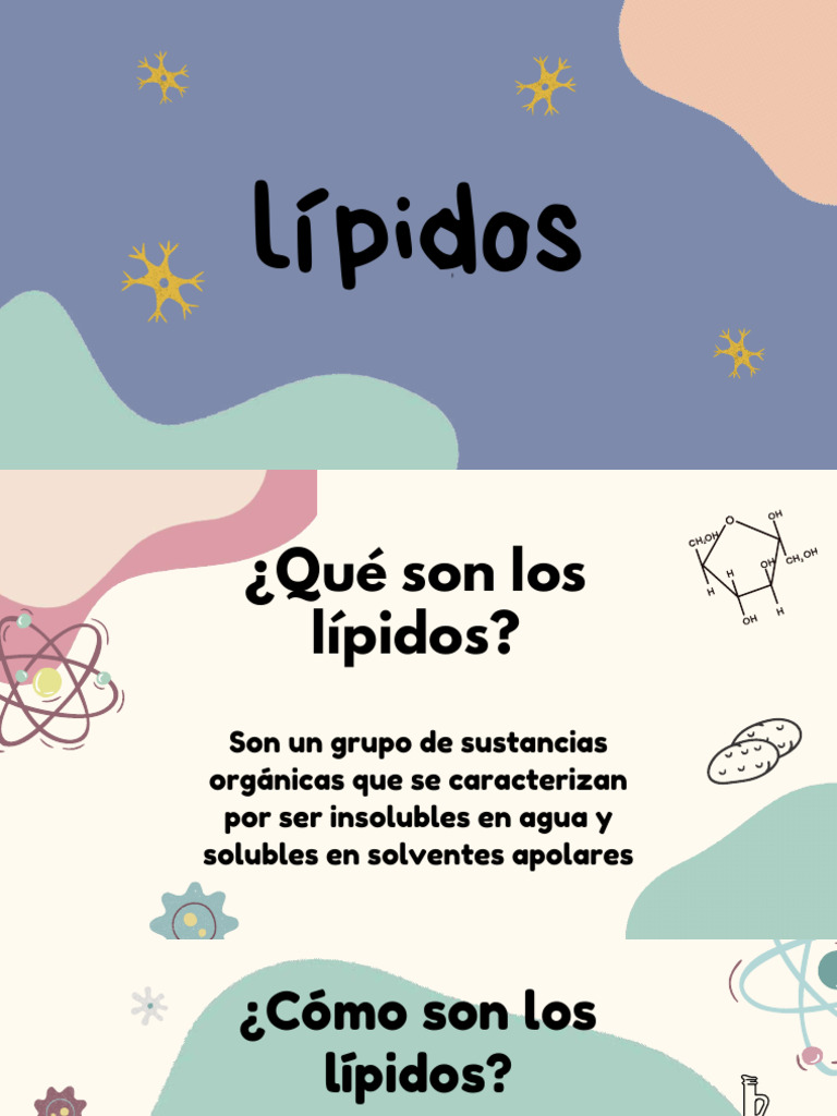 Lípidos Exposición Gonzalez Almanza Lariza Edith | PDF | Lípido | gordo