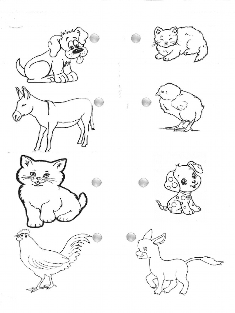 hajer-14-02-2025-coloriage-en-classe | PDF