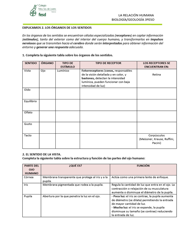Ficha Los Órganos de Los Sentidos | PDF | Sentidos | Ojo