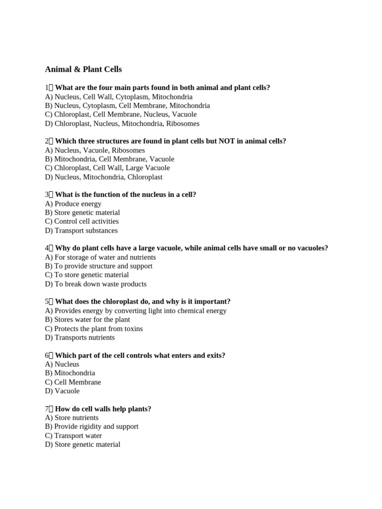 Animal and Pant Cells Questions | PDF | Cell (Biology) | Leaf