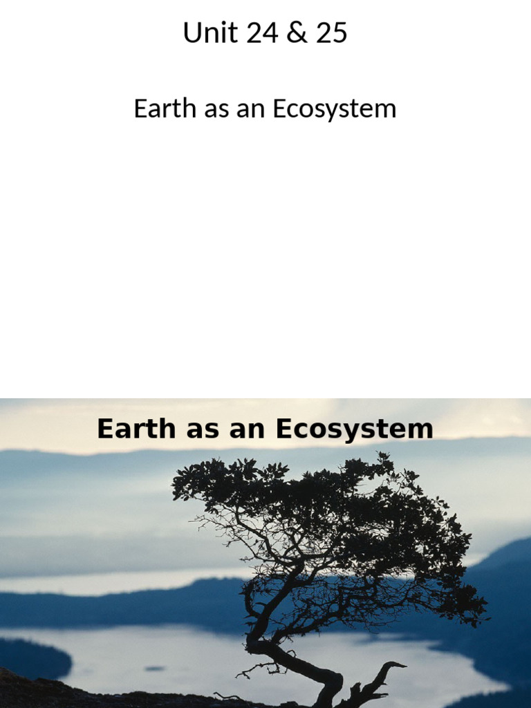Earth Ecosystem: Energy, Matter, and Succession | PDF | Food Web ...