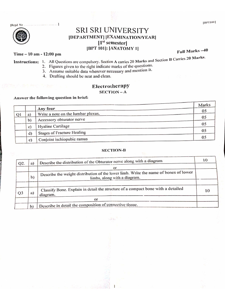 Anatomy Paper | PDF