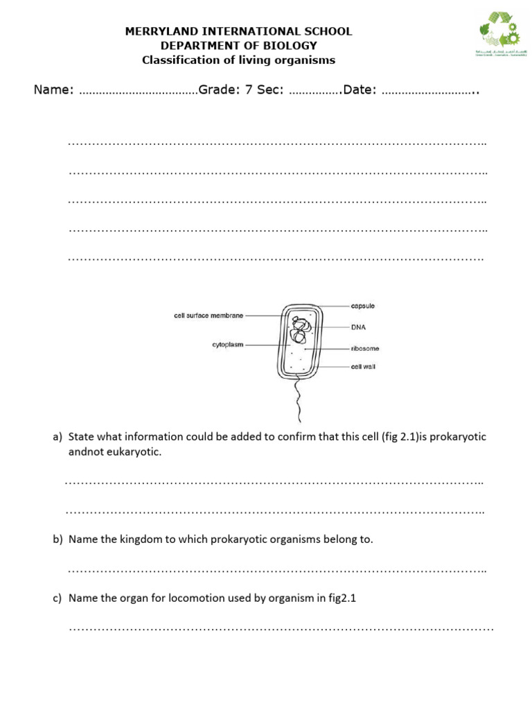 Classification Worksheet Question | PDF | Anatomy | Branches Of Botany