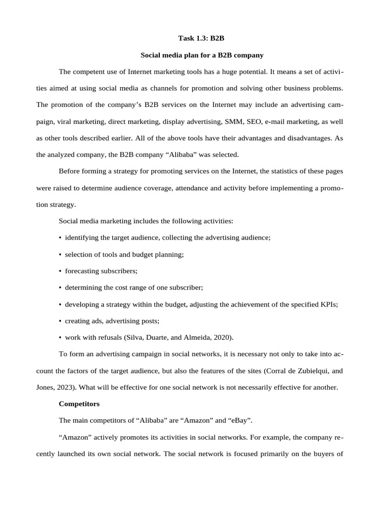 Task 1.3 B2B Social media plan for a B2B company | PDF | Marketing | Target Audience