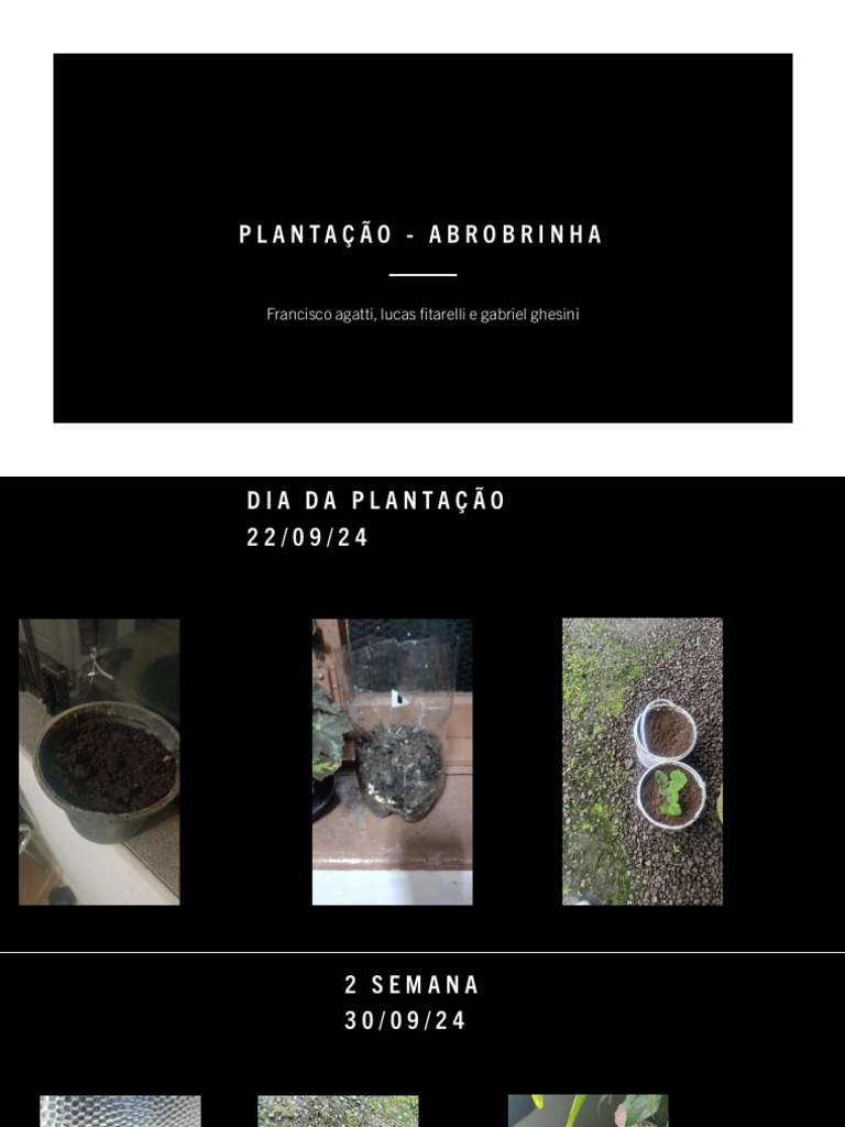 Plantation | PDF