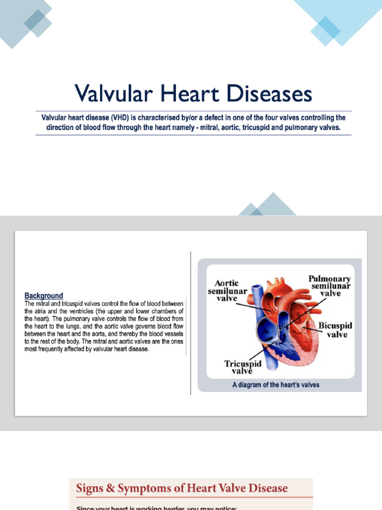 1 Week Heart Valves | PDF | Heart Valve | Cardiovascular System