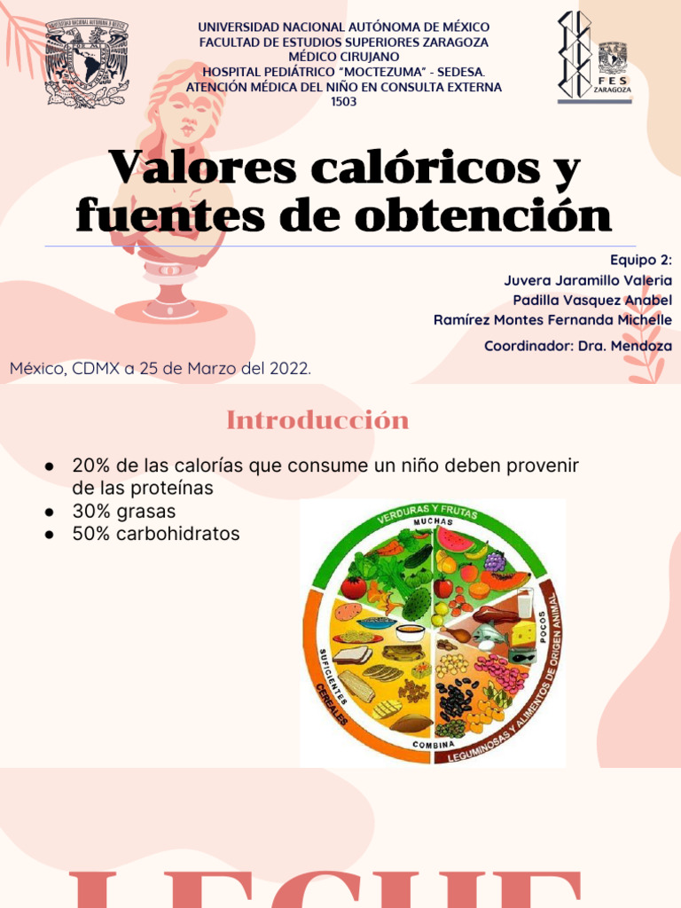 Valores calóricos en la alimentación infantil | PDF | gordo | Alimentos