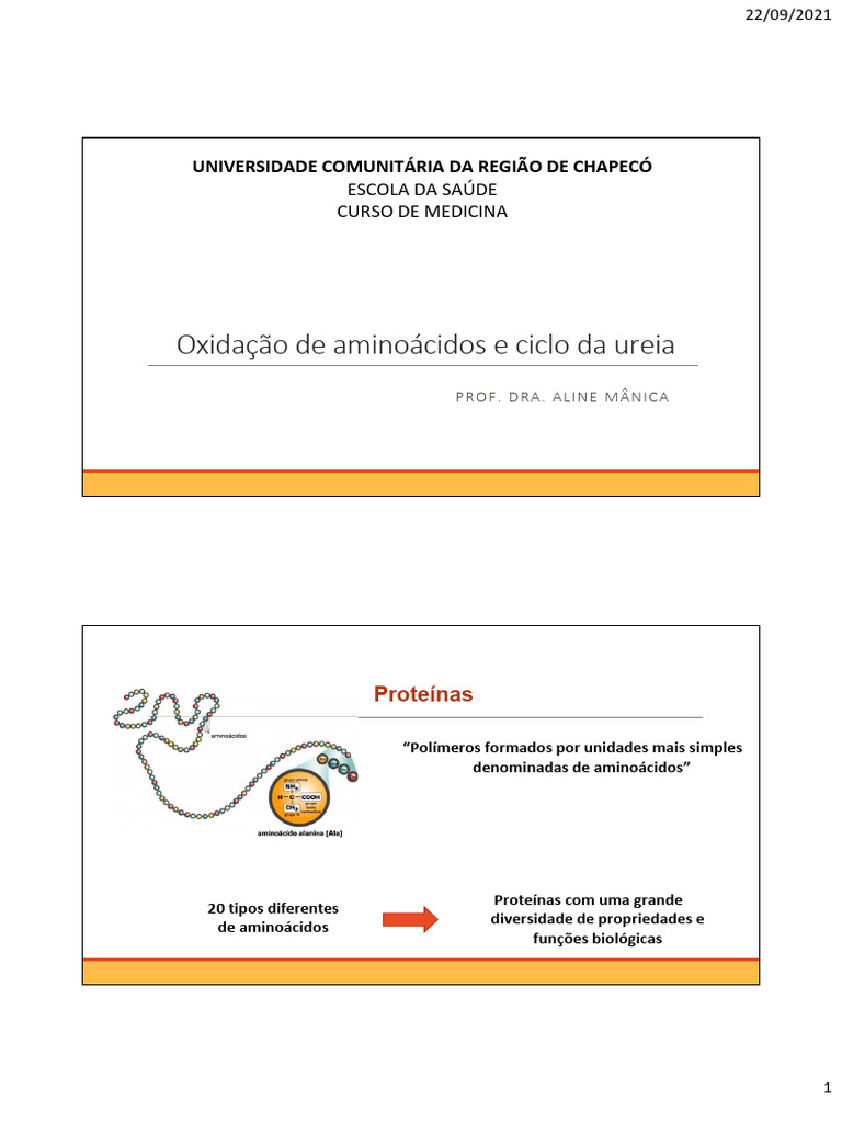 Oxidação de Aa e Ciclo Da Ureia | PDF | Aminoácido | Metabolismo