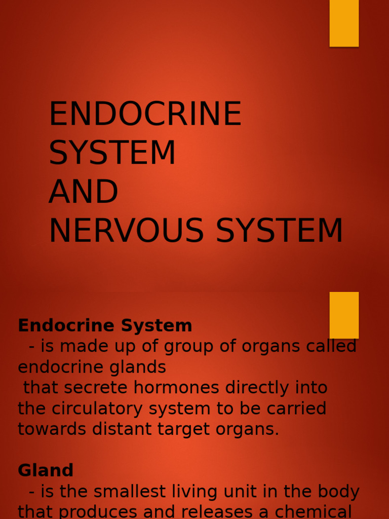 Endocrine and Nervous Systems Overview | PDF | Endocrine System | Hormone
