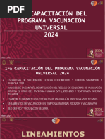 LG Pvu 2025 | PDF | Vacunas | Vacunación