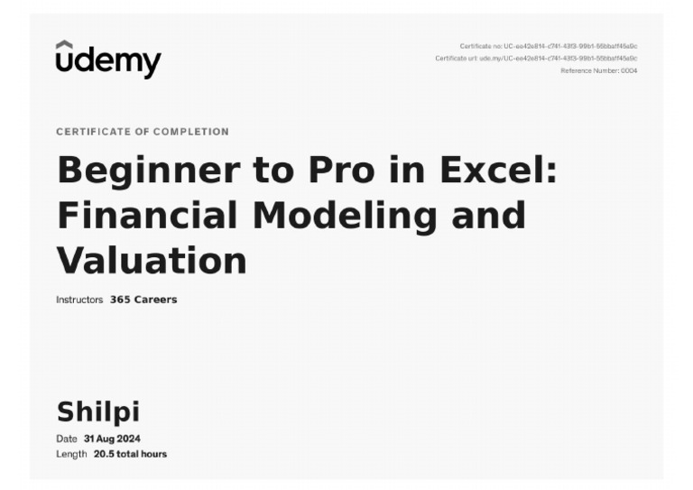 Udemy Excel and Financial Modeling | PDF