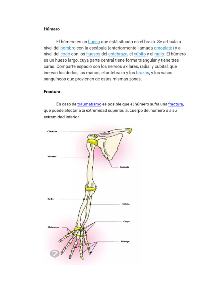 Primeros Auxilios para Tabique, Humero y Tibia | PDF | Tobillo | Rodilla