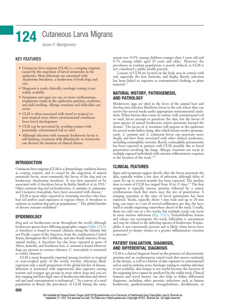 124 Cutaneous Larva Migrans | PDF | Medical Specialties | Diseases And ...