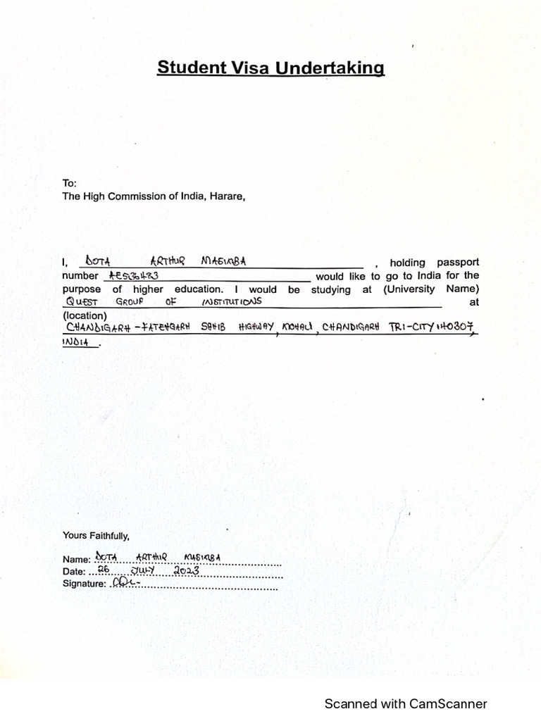 Visa Undertaking | PDF