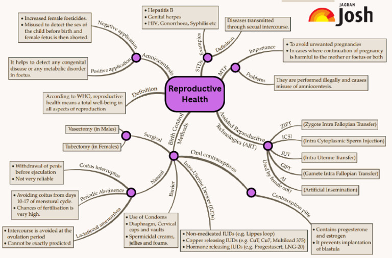 Cbse Class 12 Reproductive Health Mind Map | PDF