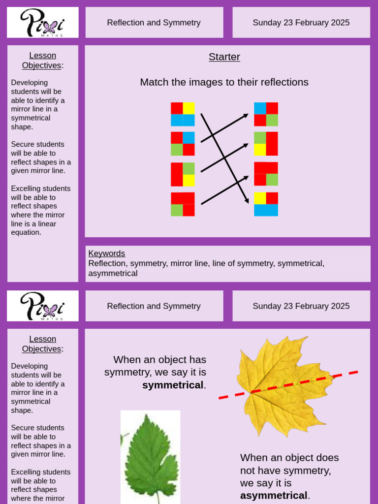 Reflection introduction and symmetry PixiPPt (1) | PDF | Symmetry | Mirror
