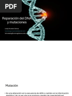 Mecanismos de Reparación de Daños en La Molécula de Adn | PDF | Reparación de adn | Adn