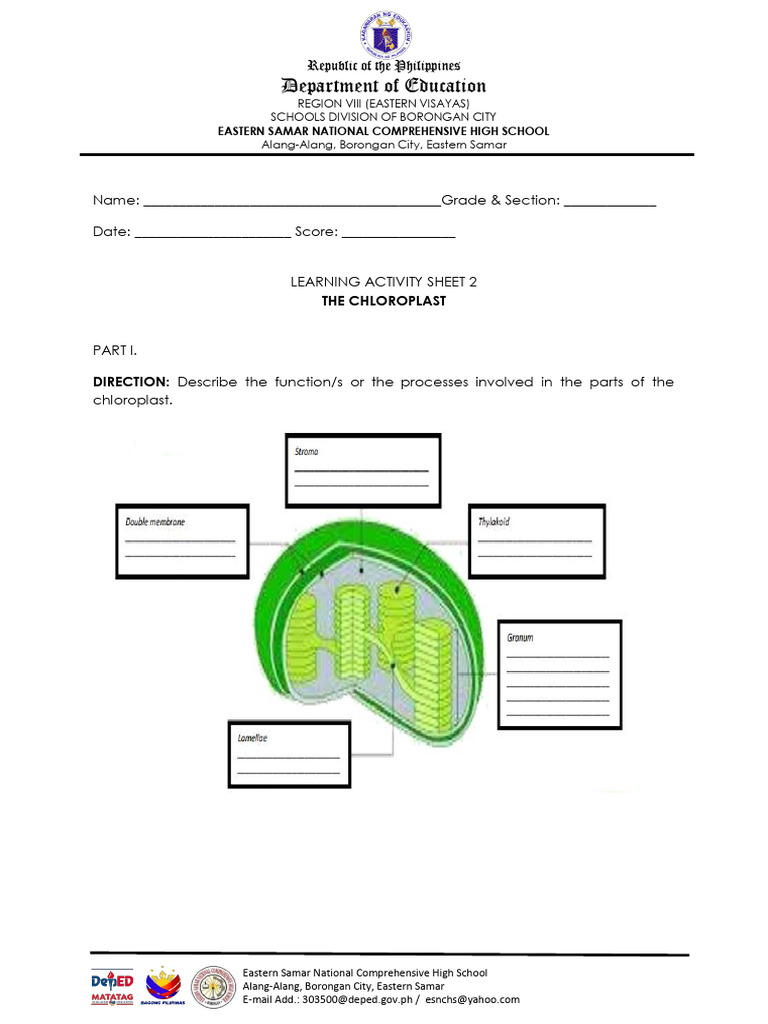 Lesson 2. Q2 Module 6 7 Importance of Chlorophyll and Other Pigments ...