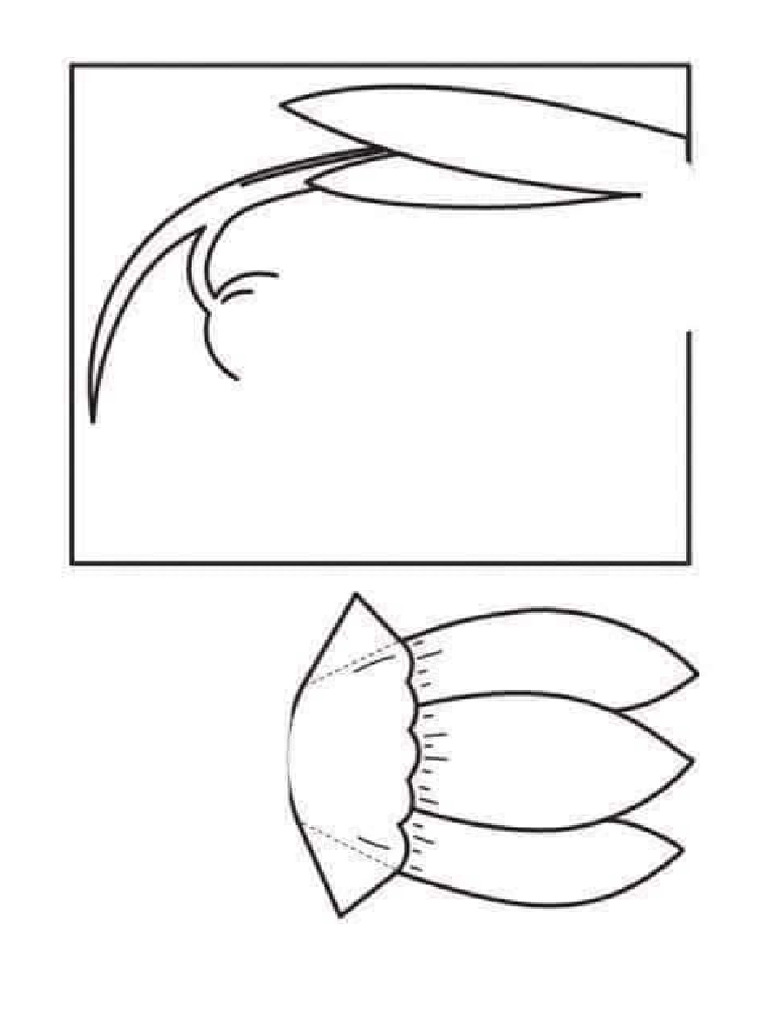 OpenDocument Text Nou | PDF