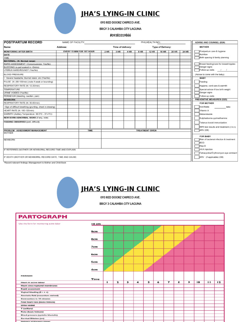 Partograph and Postpartum Chart Jhas | PDF