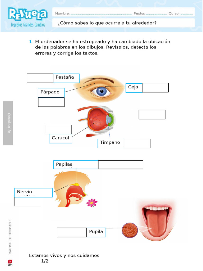 207904D Librodig Bl01sa04 Fichaconso | PDF