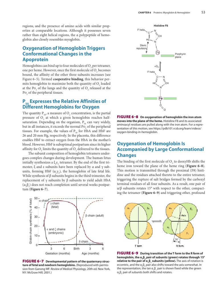 Harpers Illustrated Biochemistry 32e by Peter J. Kennelly | PDF ...