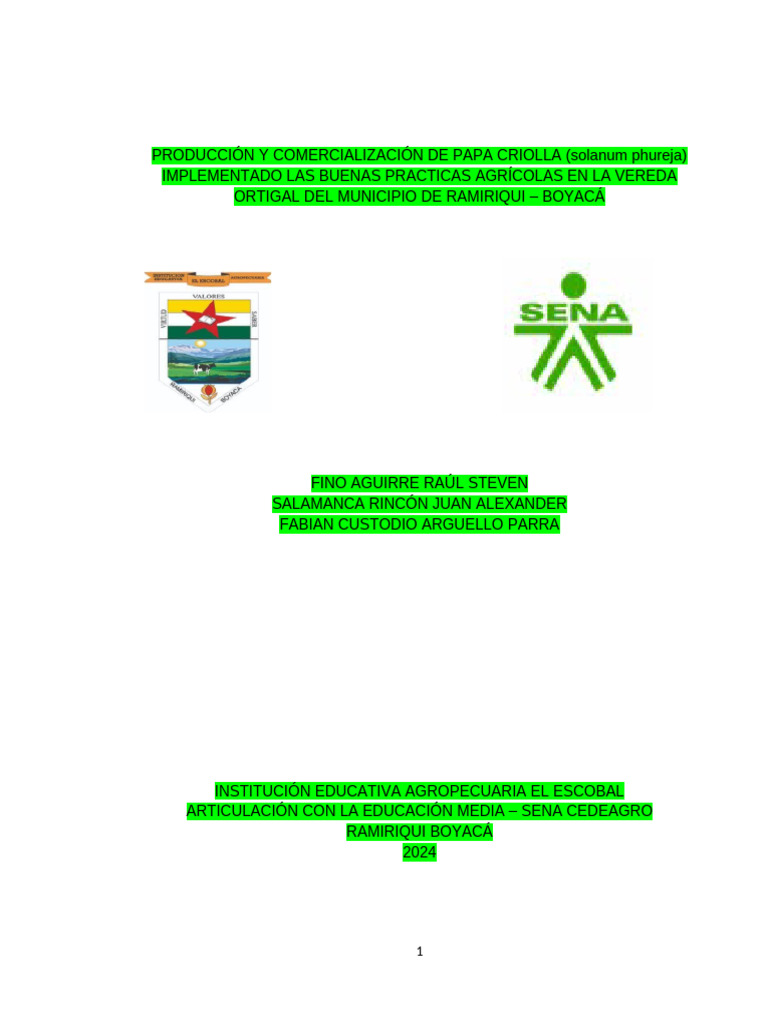 Proyecto Sena 2024 Raul Fino 092602 | PDF | Patata | Fertilizante