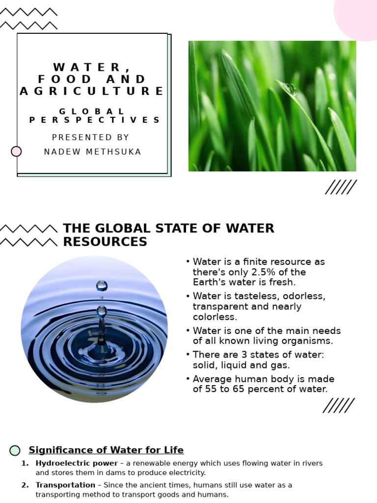 Water, Food and Agriculture | PDF | Water | Water Security