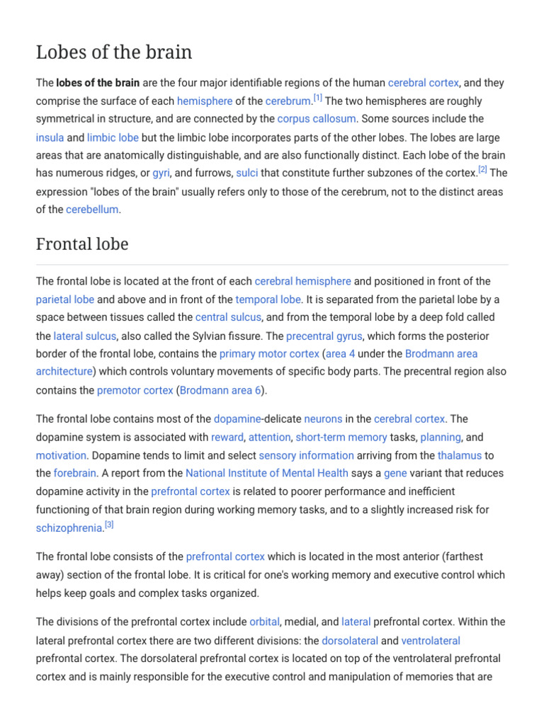 Lobes of the brain - | PDF | Insular Cortex | Cerebral Cortex